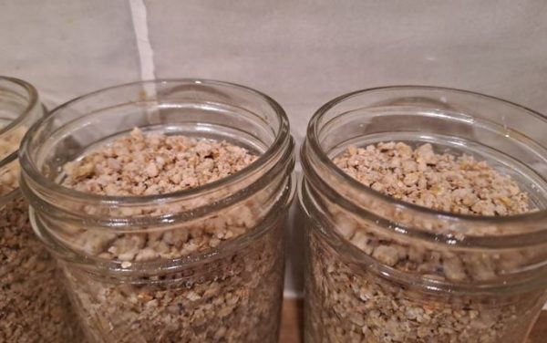 PF-Tek For Growing Mushrooms. - EZMushroom