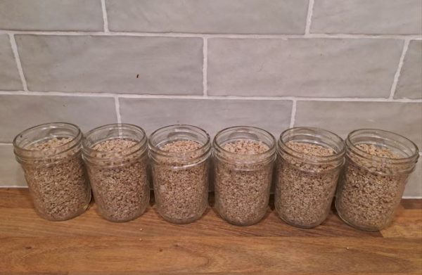 PF-Tek For Growing Mushrooms. - EZMushroom